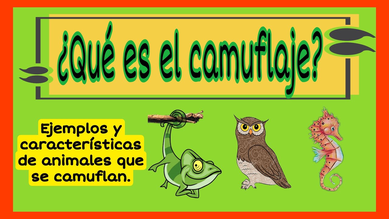 ¿Qué es el camuflaje animal y cómo funciona? - Todo sobre Animales y Bichos