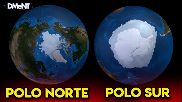 Características del Polo Norte y Polo Sur: Diferencias y similitudes ...