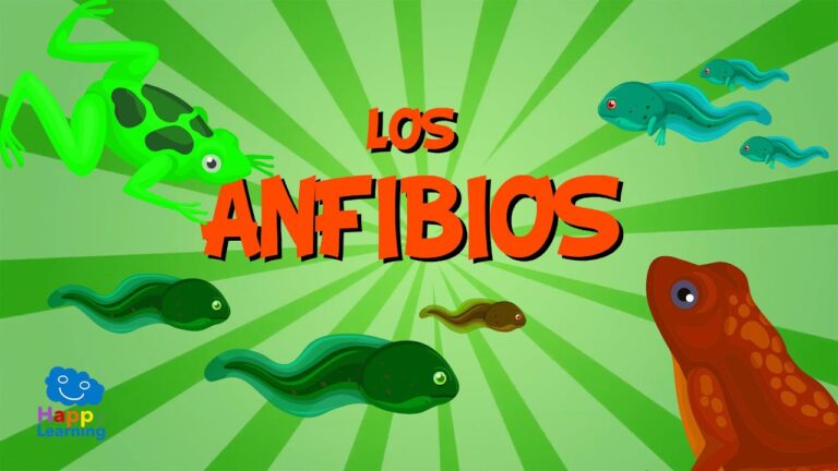 Reproducción de los anfibios: Todo lo que necesitas saber - Todo sobre ...