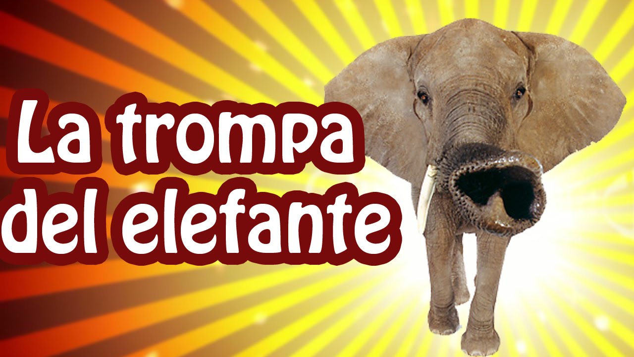 ¿Cuántos músculos conforman la trompa del elefante? - Todo sobre ...