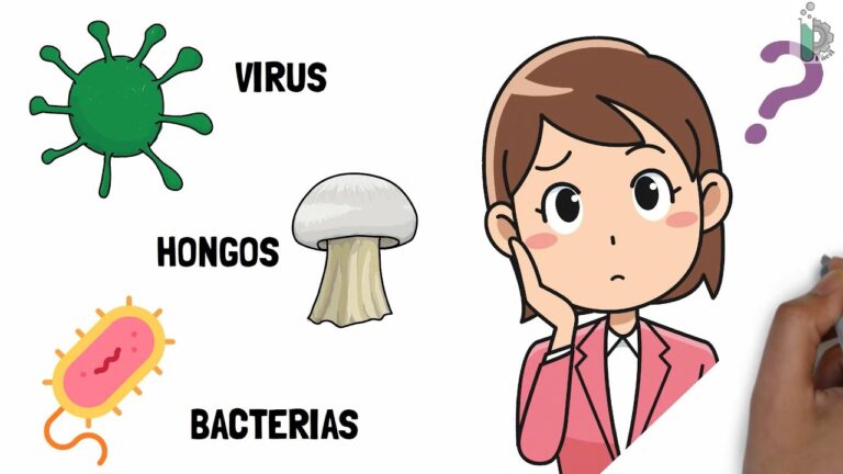 Bacterias: efectos negativos y positivos en el cuerpo humano - Todo ...
