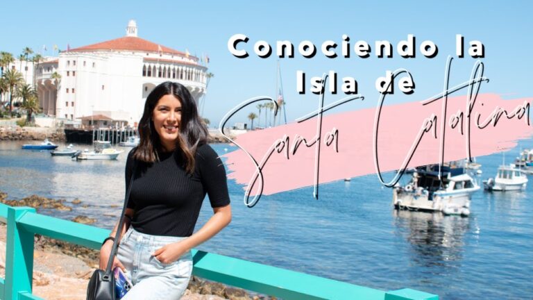 Isla Santa Catalina en Los Ángeles - Todo sobre Animales y Bichos
