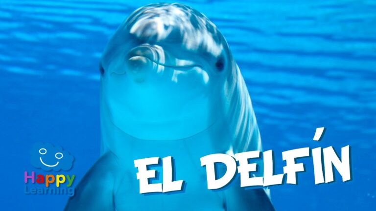 ¿Cuáles son las partes del cuerpo de un delfín? - Todo sobre Animales y ...