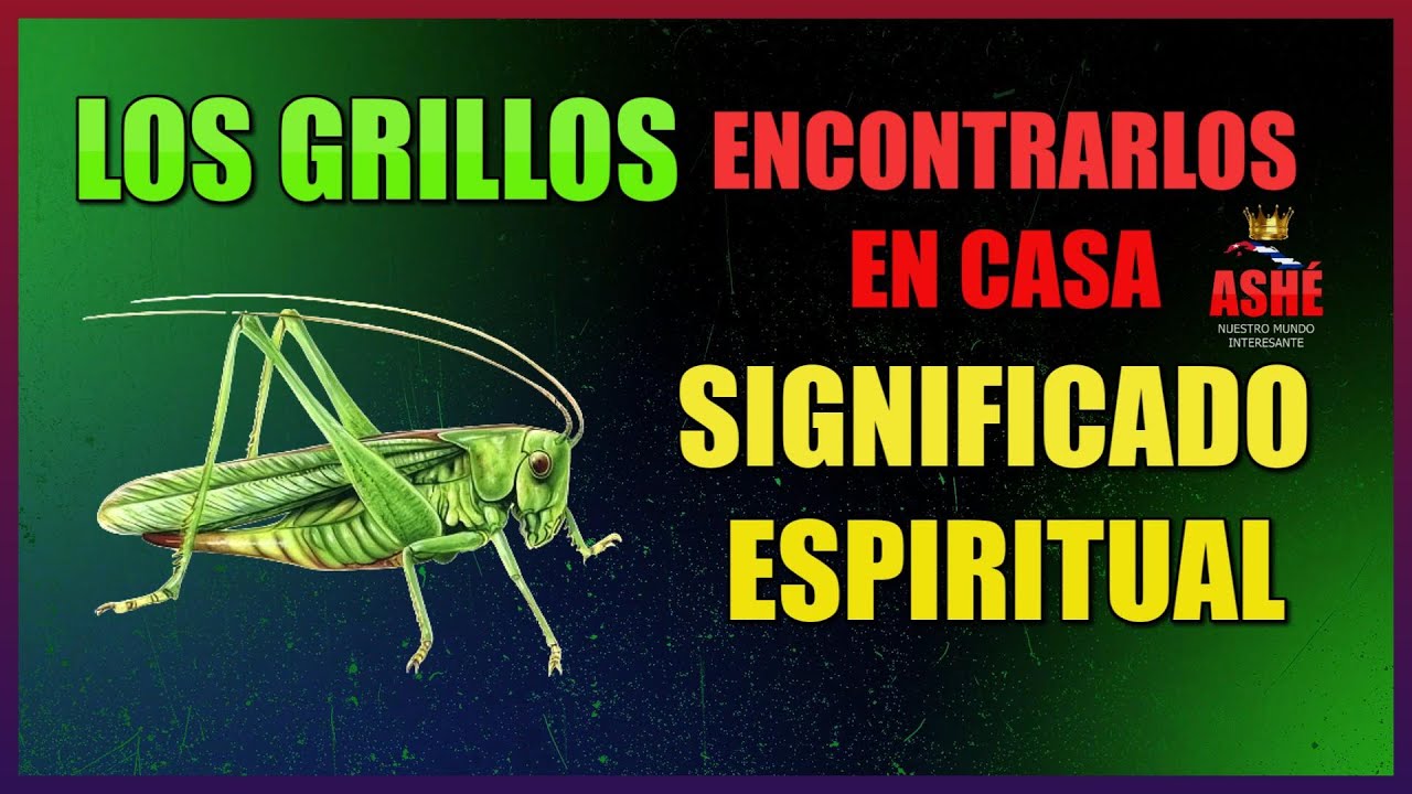 Descubrir un grillo en tu hogar: ¿Qué significado tiene? - Todo sobre ...