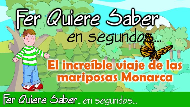El origen de la mariposa monarca: un fascinante viaje migratorio - Todo ...