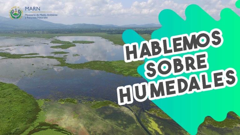 Especies animales que habitan en los humedales - Todo sobre Animales y ...