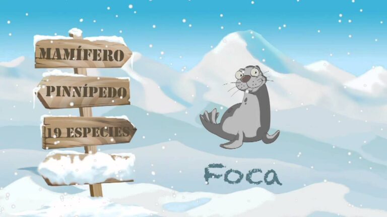 Información sobre las focas para niños - Todo sobre Animales y Bichos