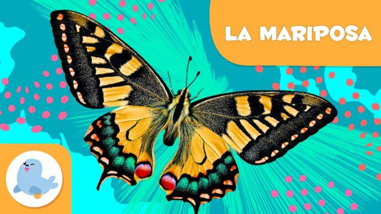 Mariposas: interesantes para niños - Todo sobre Animales y Bichos