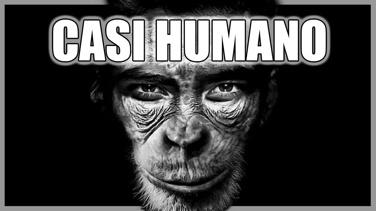 ¿Cuál es la especie de simio más inteligente? - Todo sobre Animales y ...