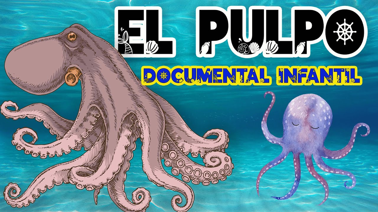 ¿Los pulpos son invertebrados o vertebrados? - Todo sobre Animales y Bichos