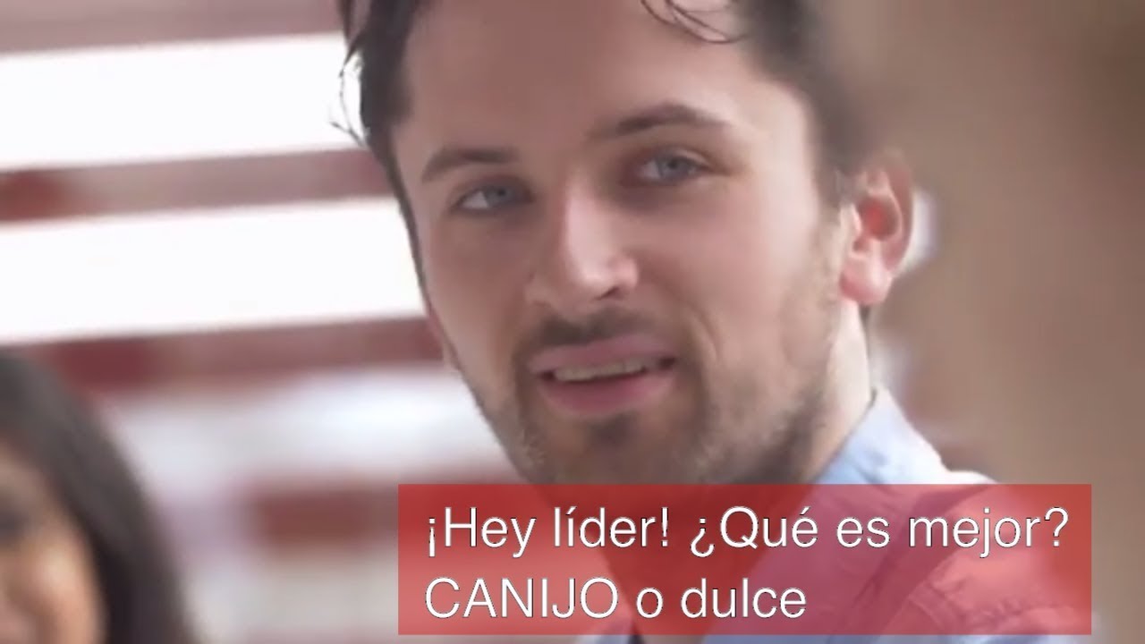 ¿Qué significa "canijo" en España? - Todo sobre Animales y Bichos