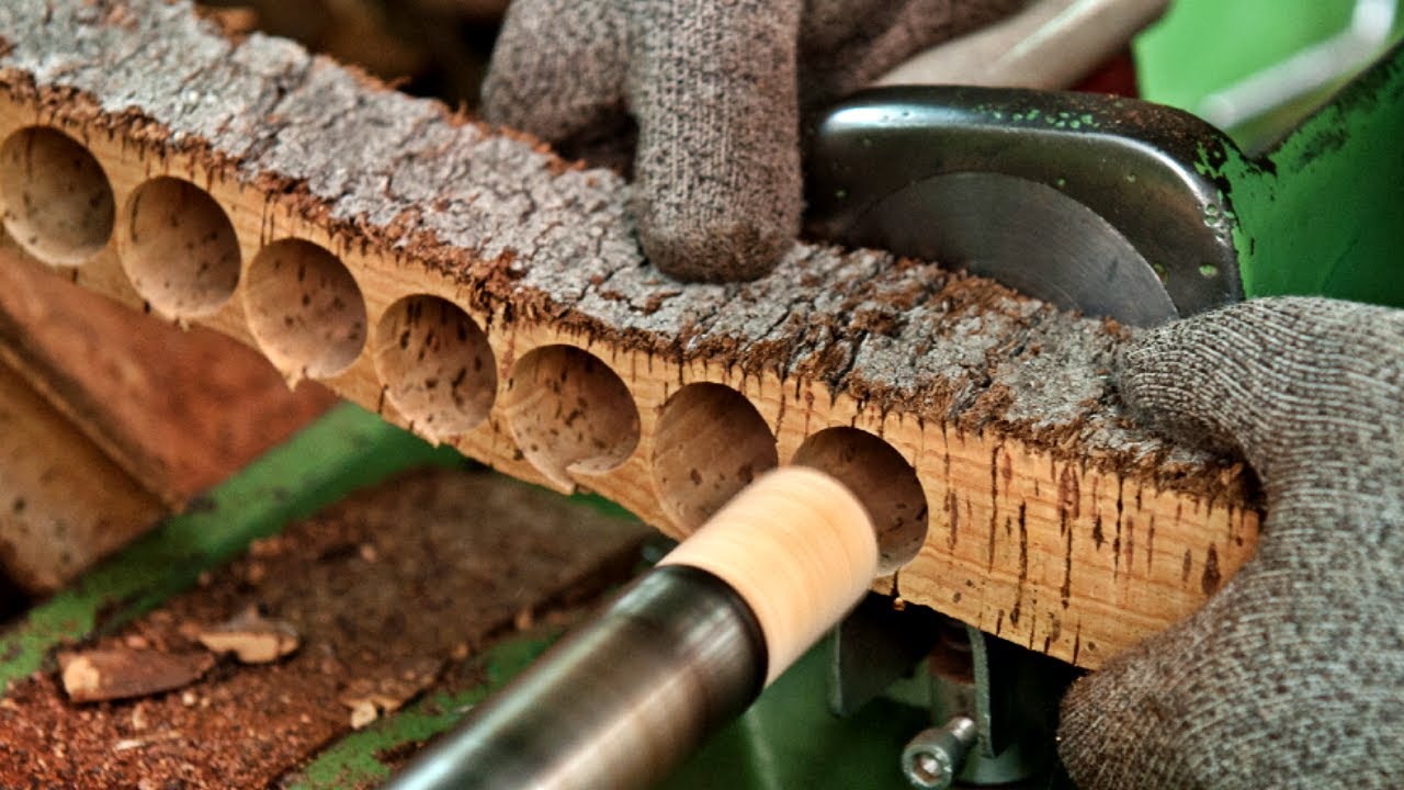 Origen del corcho: ¿De qué árbol proviene? - Todo sobre Animales y Bichos