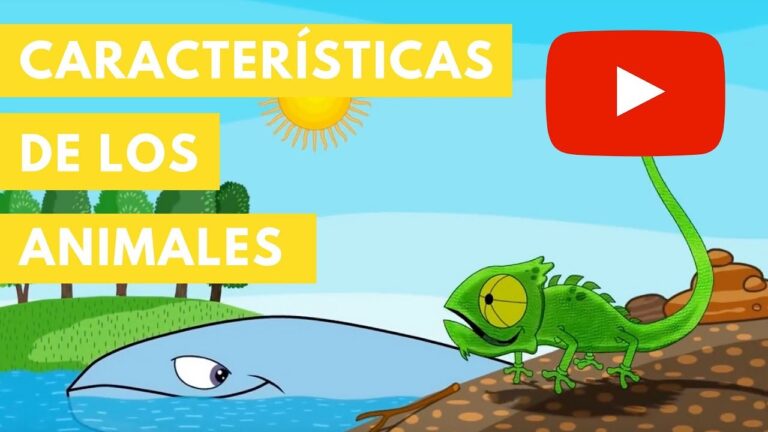 Principales características de los animales - Todo sobre Animales y Bichos