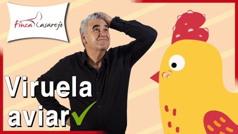 Tratamiento para la viruela aviar - Todo sobre Animales y Bichos