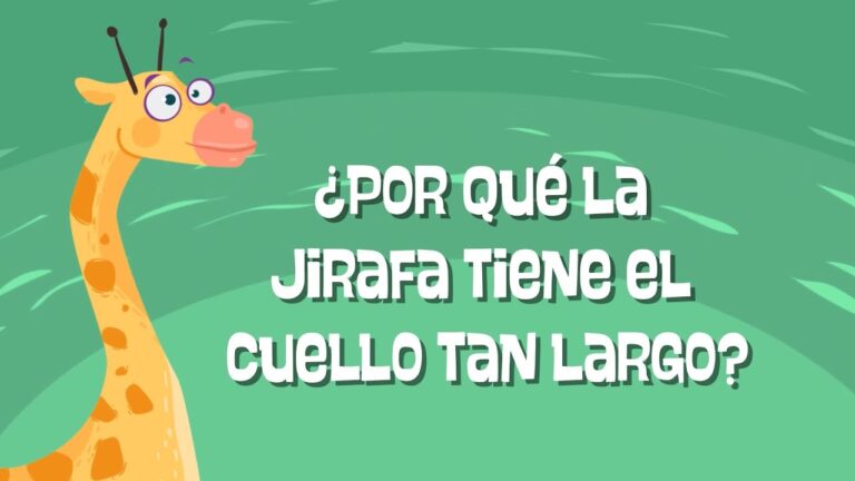 ¿Cuál es la longitud del cuello de una jirafa? - Todo sobre Animales y Bichos