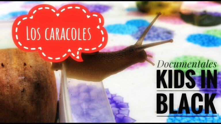 El ciclo de vida del caracol explicado para niños - Todo sobre Animales ...