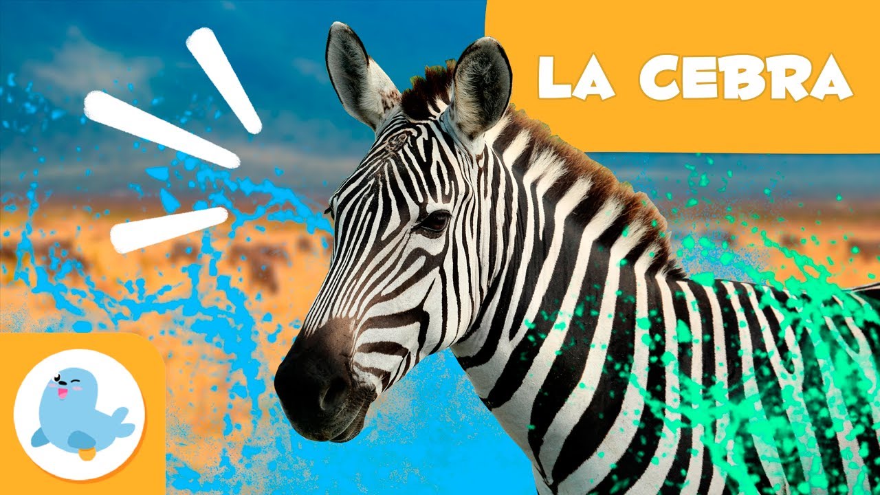 ¿Cuál es el hábitat natural de la cebra? - Todo sobre Animales y Bichos